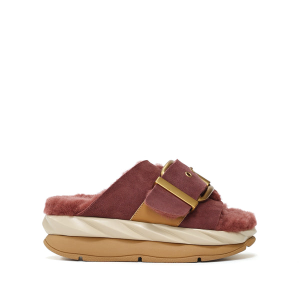 4CCCCEES Shoes - New Collection