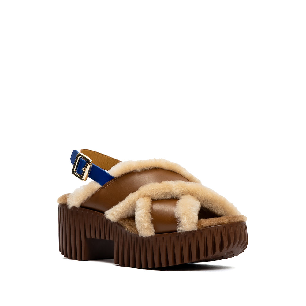 4CCCCEES Shoes - New Collection